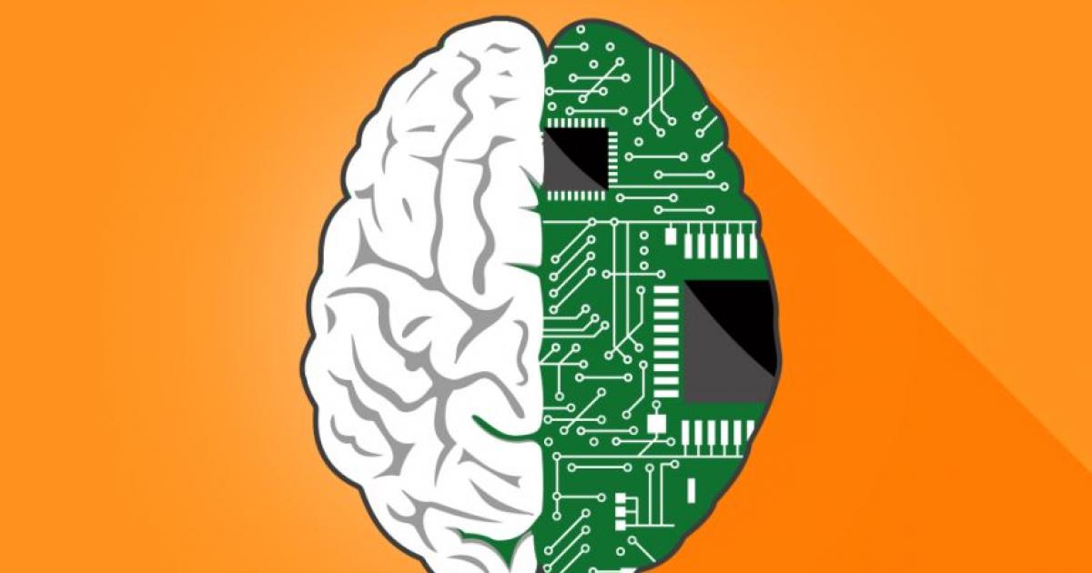 Human Memory and Its Secrets