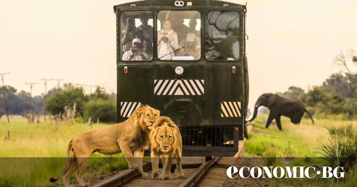 Elephant Express: Сафари с влак в Африка (Снимки)